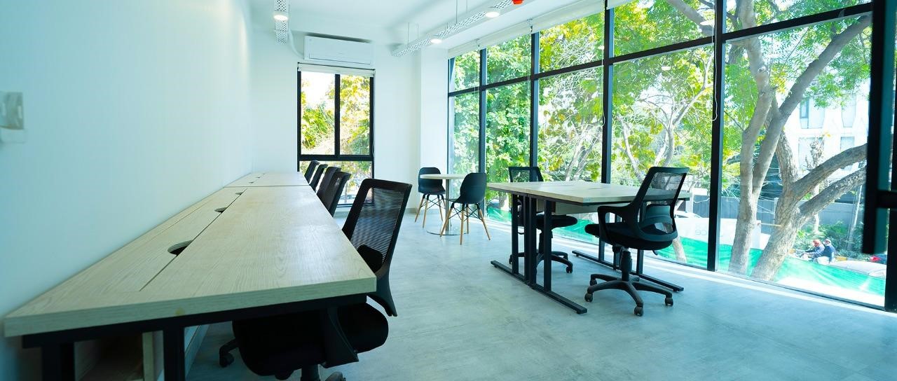 The Role of Biophilic Design in Modern Workspaces - Quick Office